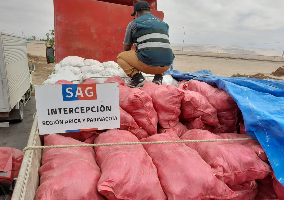 SAG en alerta por vegetales que ingresan ilegalmente a Chile con ...